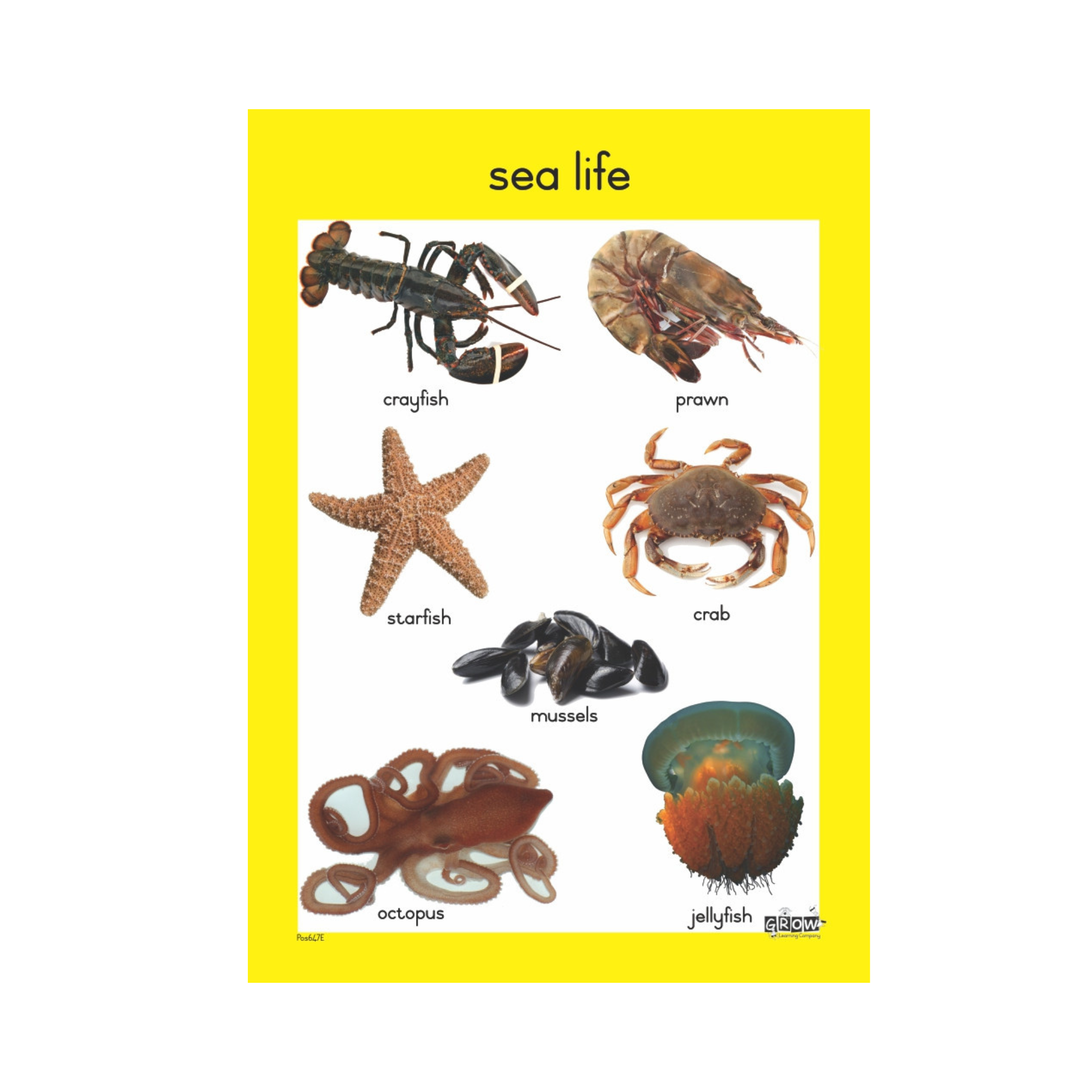 Sea Life – Grow Learning Company