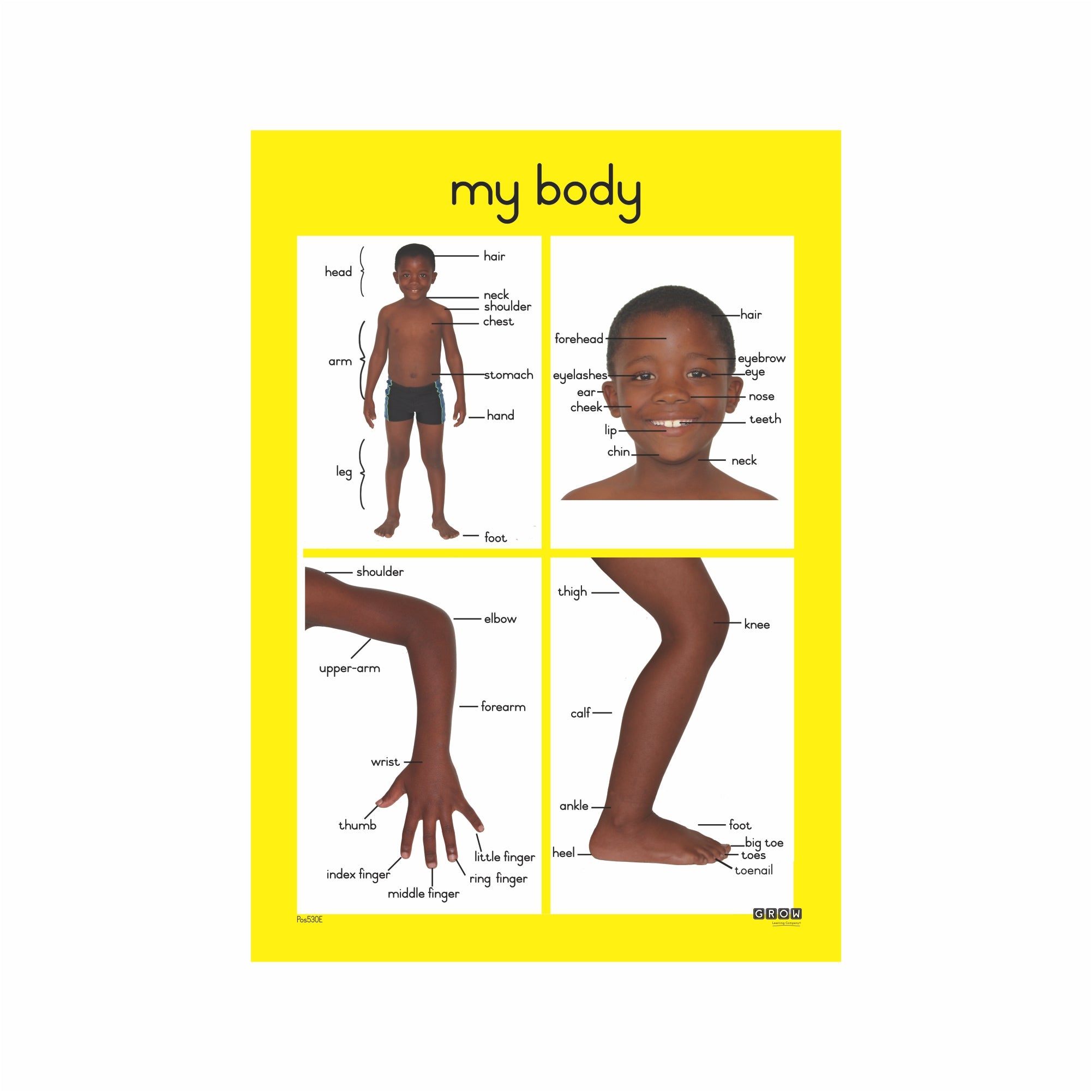 My Body – Grow Learning Company
