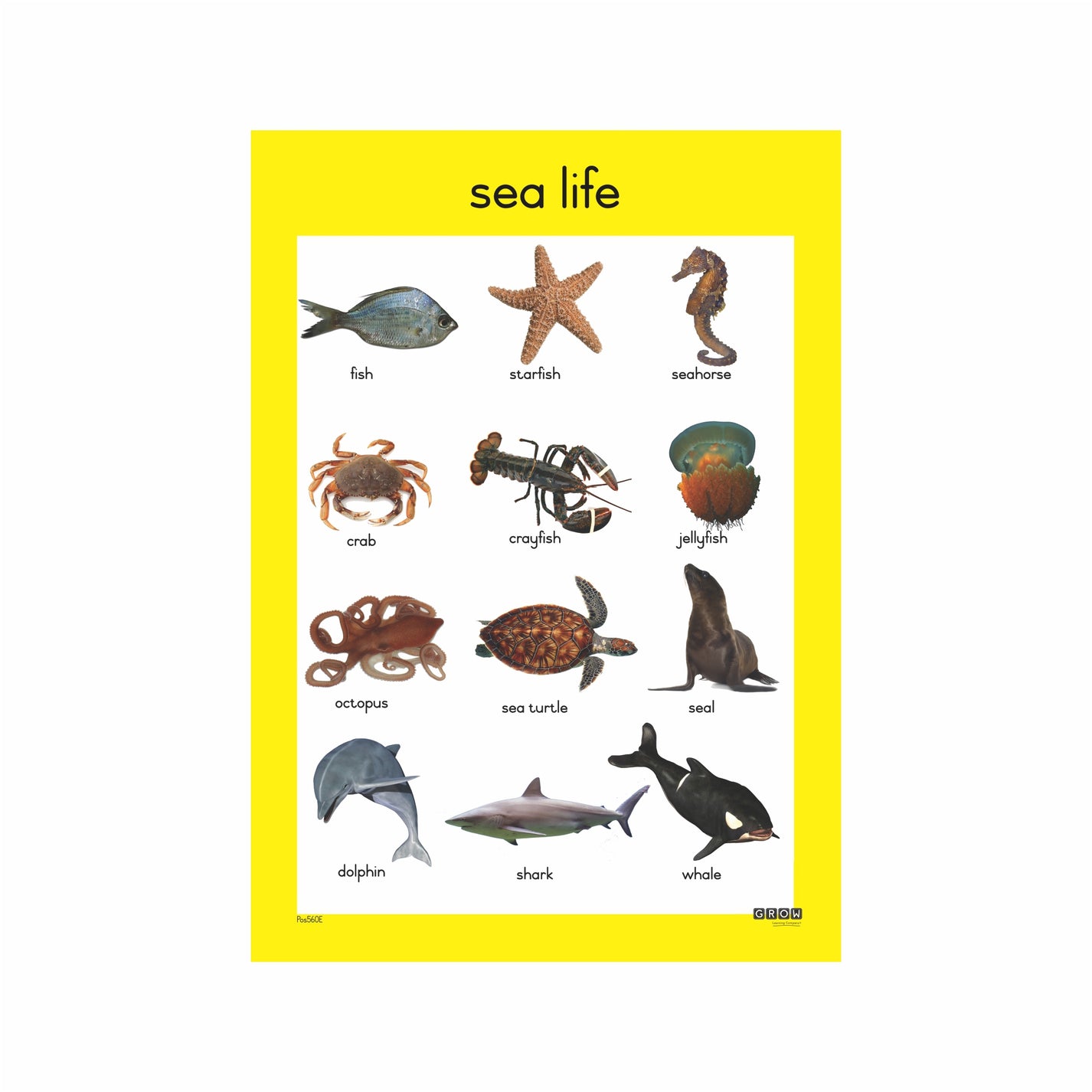 Sea Life – Grow Learning Company
