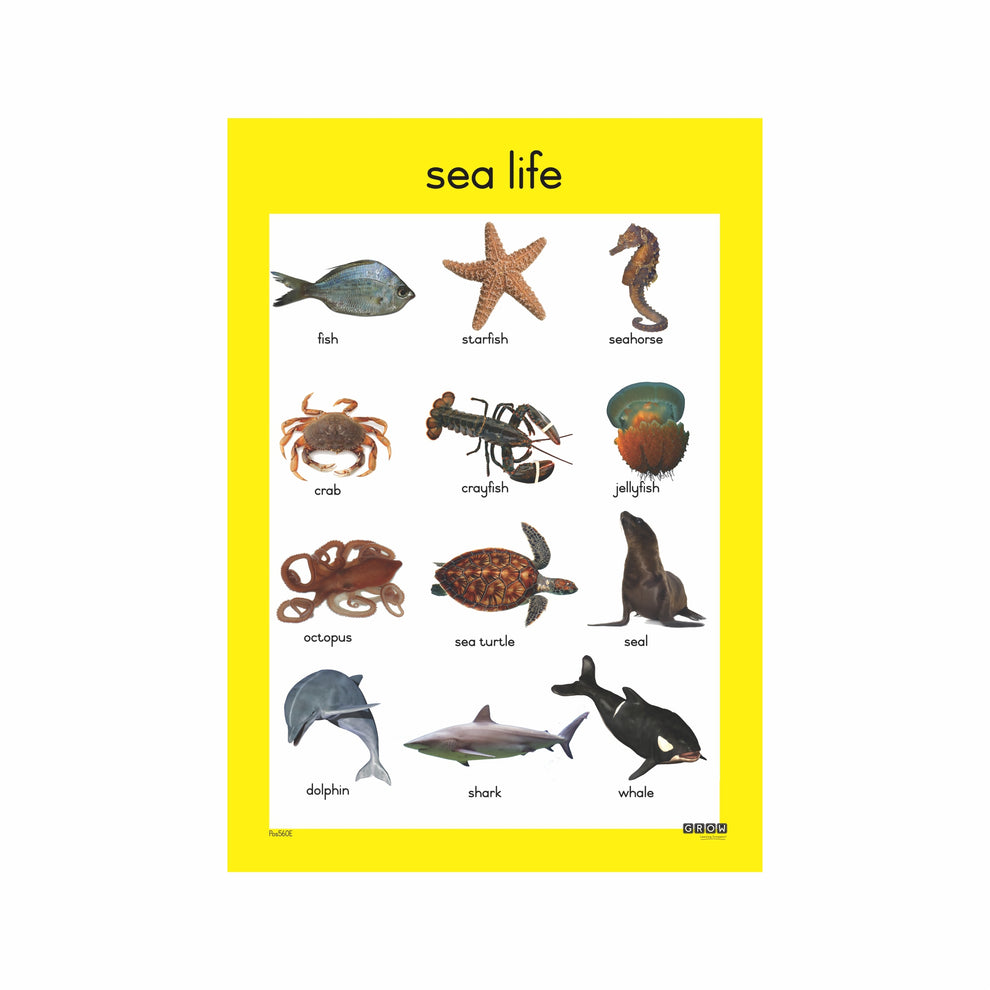 Sea Life – Grow Learning Company