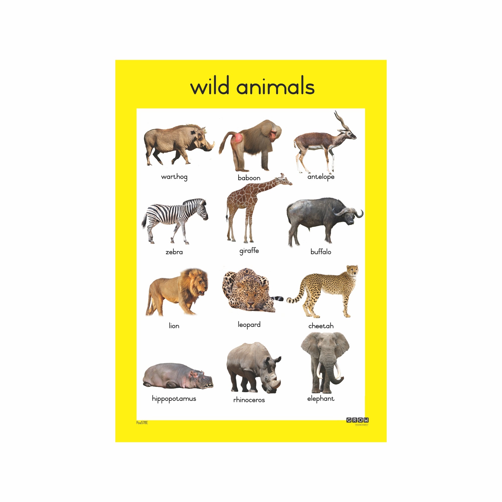Wild Animals Pictures Chart Animal Names Chart Learning For Kids
