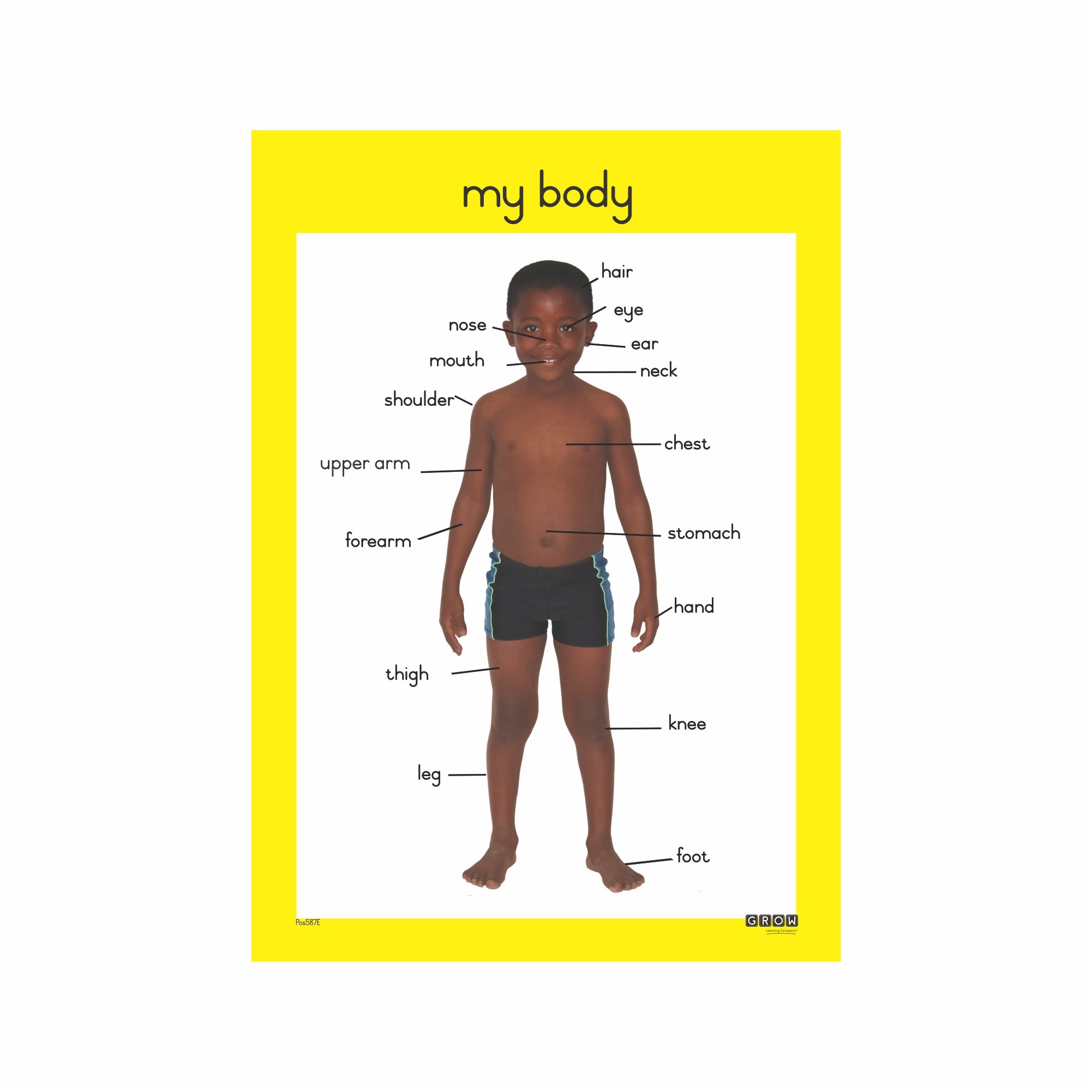My Body – Grow Learning Company