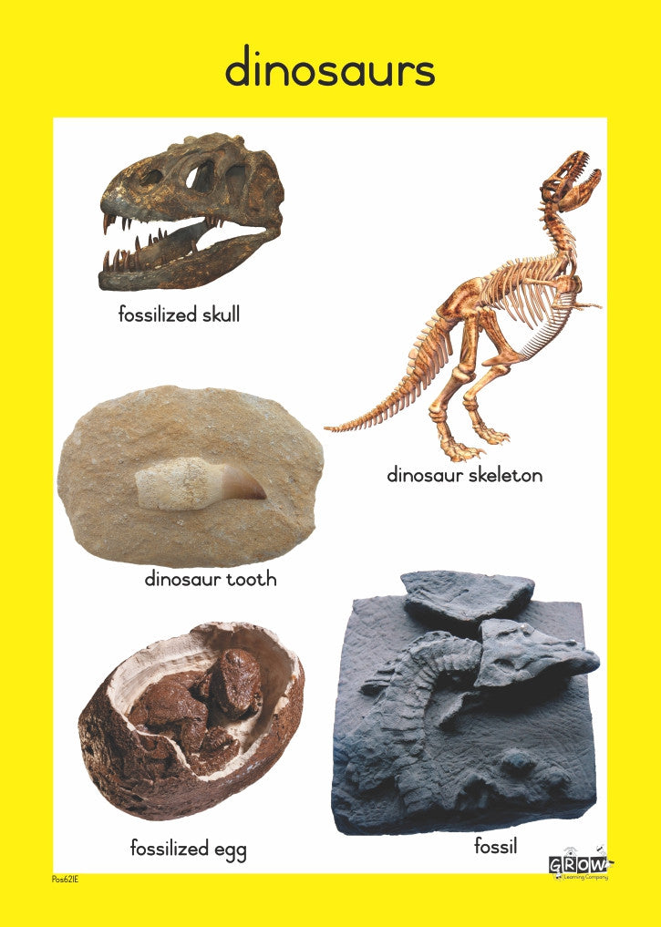Dinosaurs | Grow Learning Company