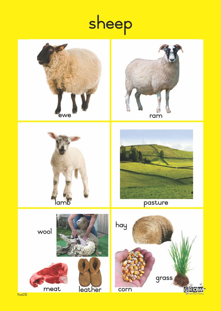Farm Animals | Grow Learning Company