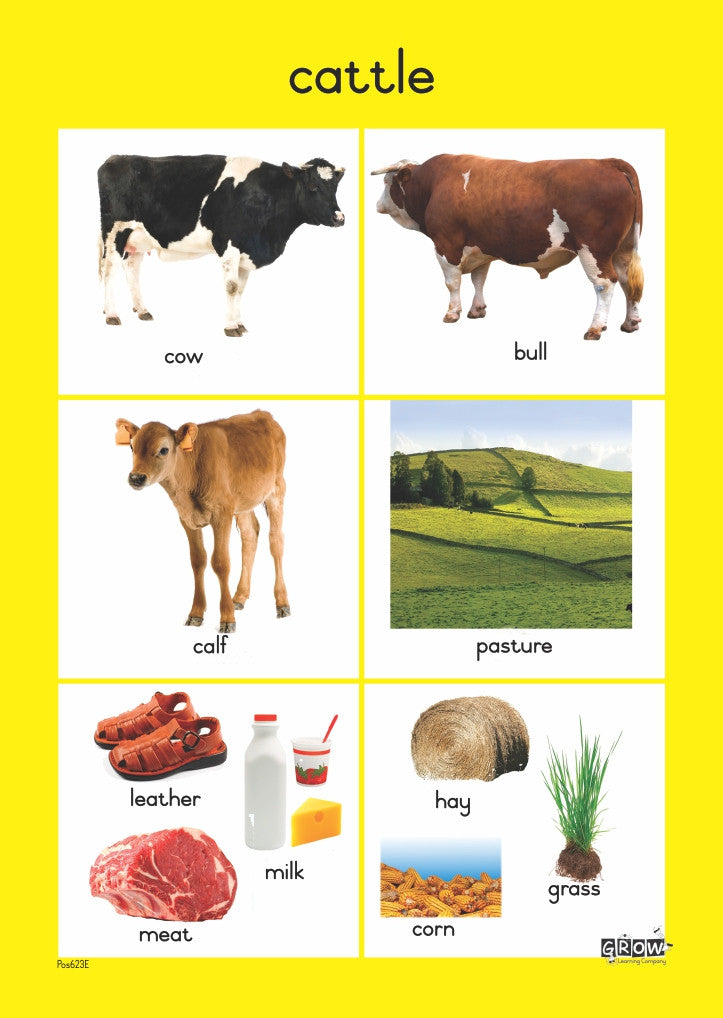 Farm Animals - Foundation Phase Theme | Grow Learning Company