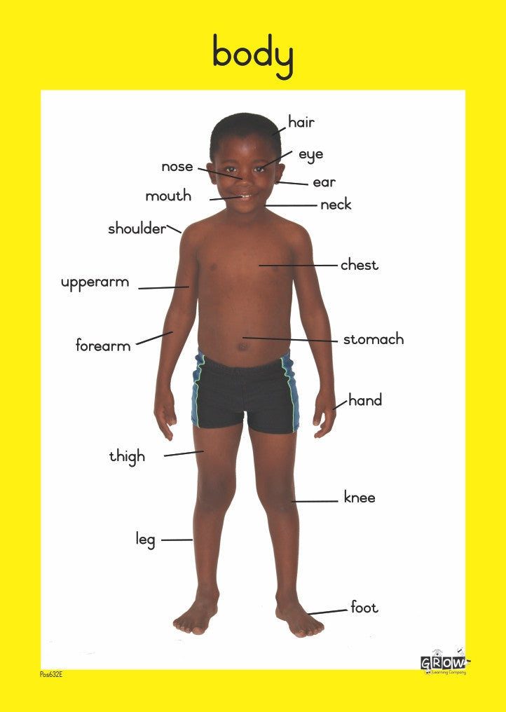 My Body - Foundation Phase Theme | Grow Learning Company