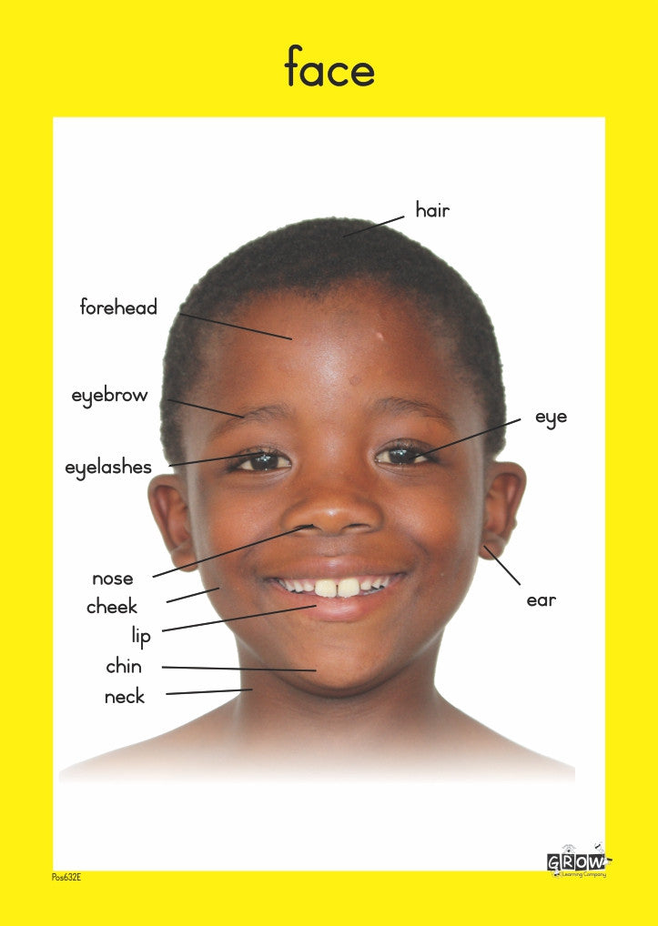 Foundation Phase - Poster Kit | Grow Learning Company