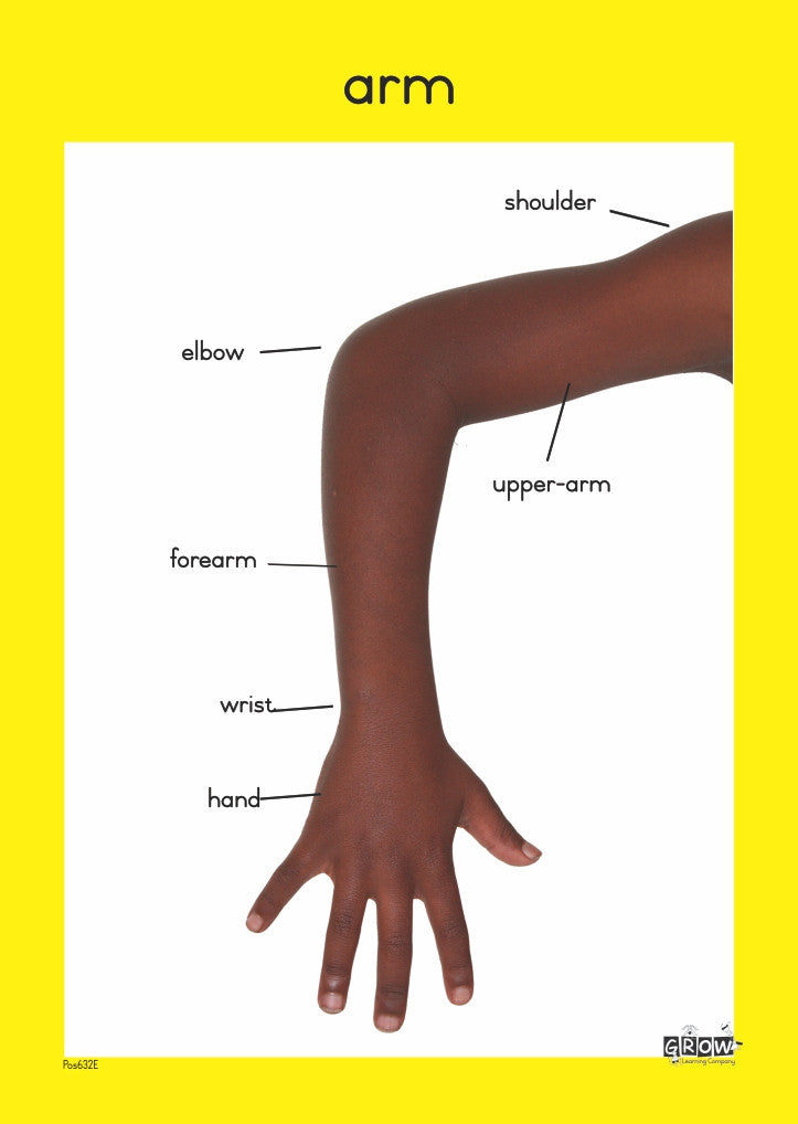 Foundation Phase - Poster Kit | Grow Learning Company