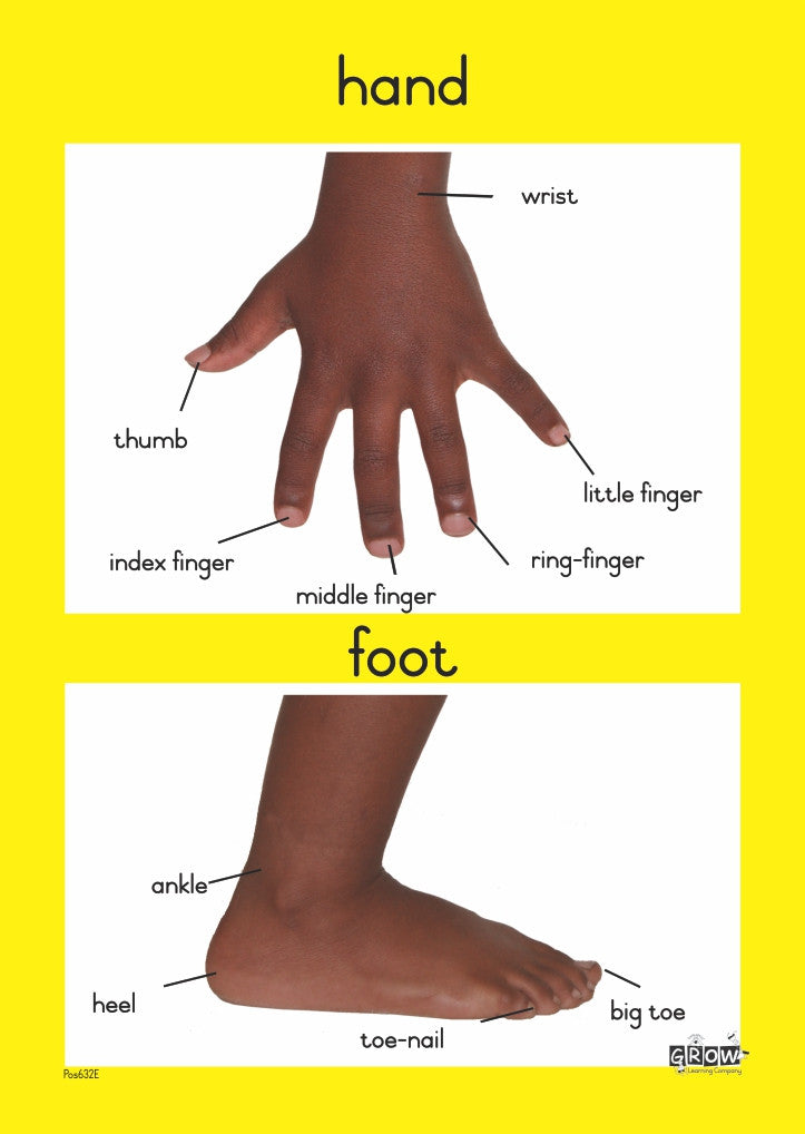 Foundation Phase - Poster Kit | Grow Learning Company