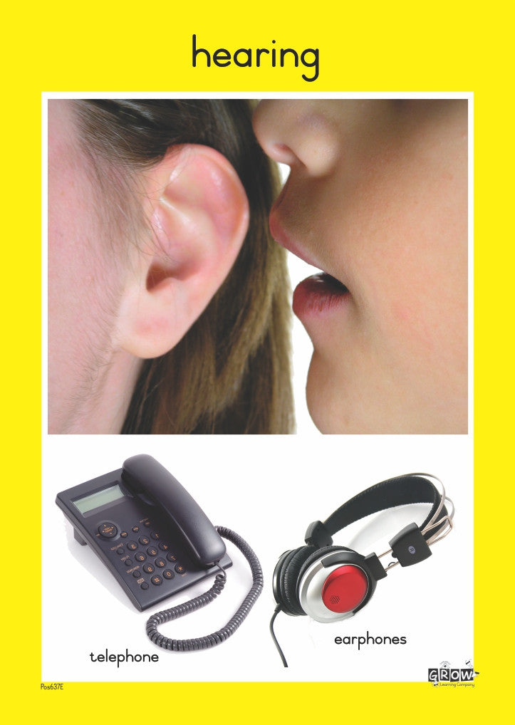 Foundation Phase - Poster Kit | Grow Learning Company