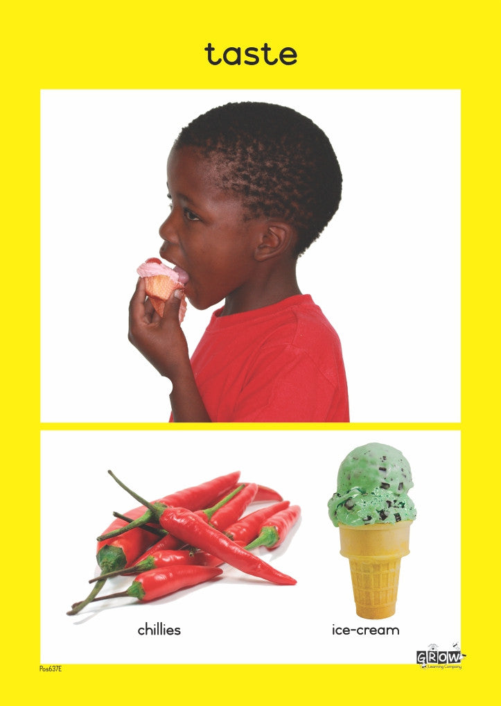 Foundation Phase - Poster Kit | Grow Learning Company